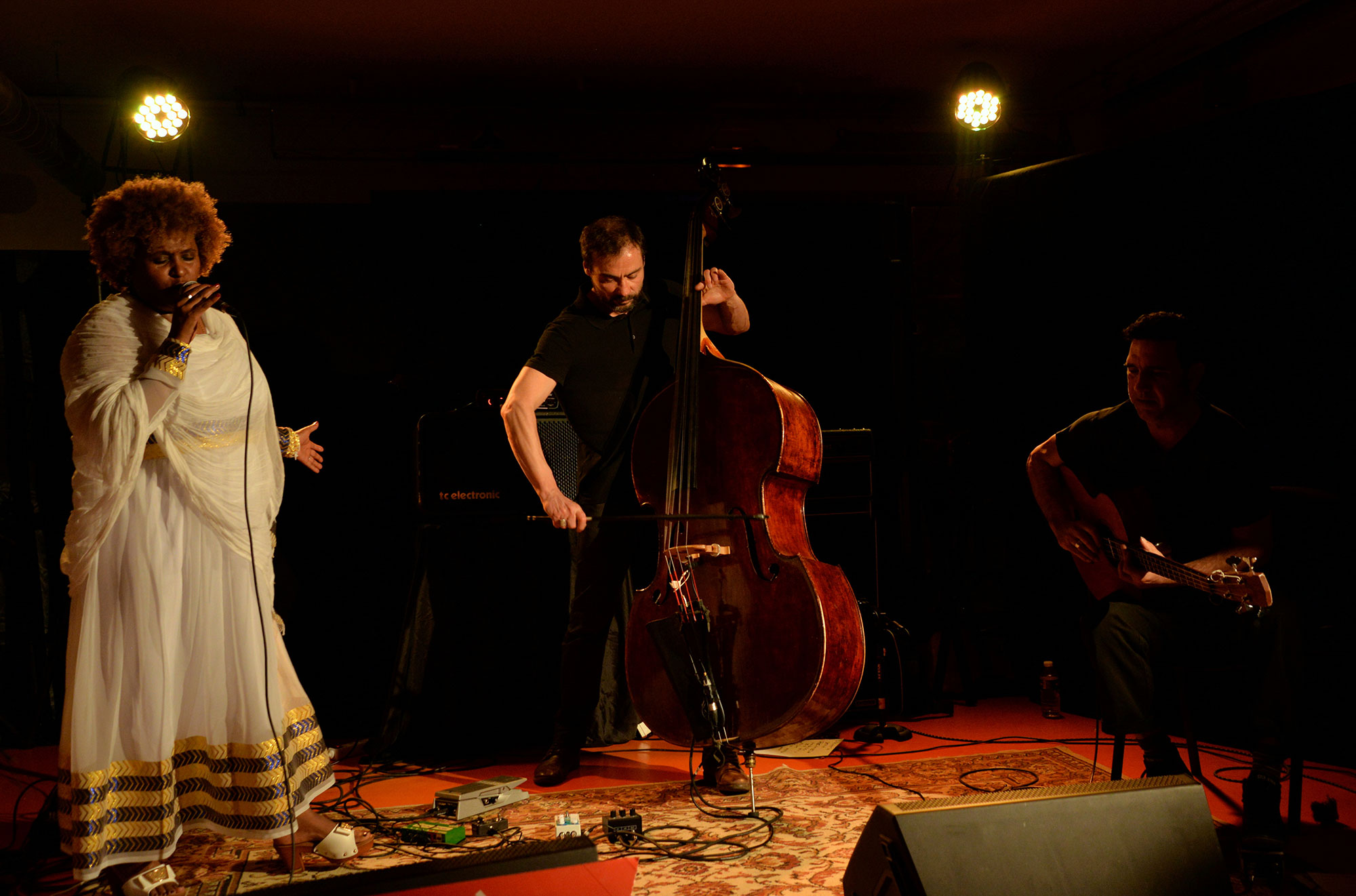 TRIO ETENESH WASSIÉ – MATHIEU SOURISSEAU – SÉBASTIEN BACQUIAS | Théâtre ...